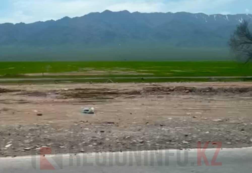 REGIONINFO.KZ | В Шымкенте земельные участки возвращены государству